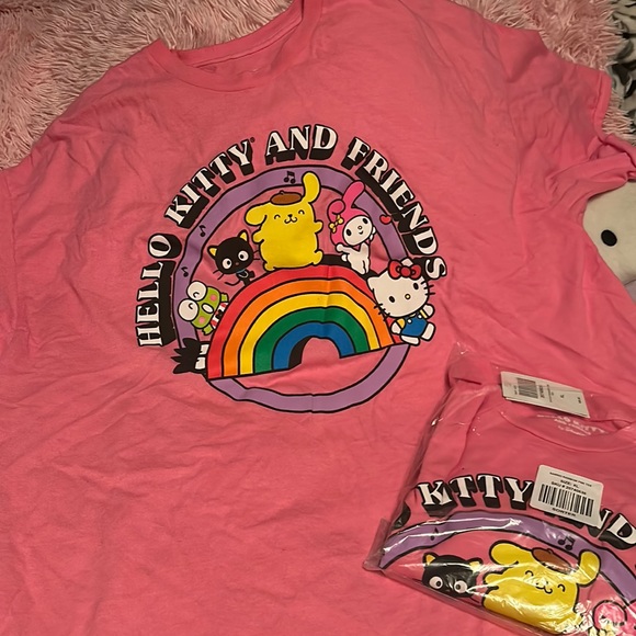 Sanrio | Tops | Hello Kitty And Friends Sanrio Extra Large Pink Rainbow ...